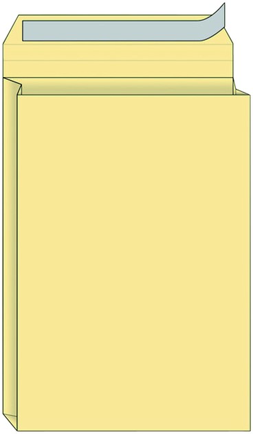 Akte envelop met zijvouw EB4 262x371x38mm 170 grams creme kraft 125 ...